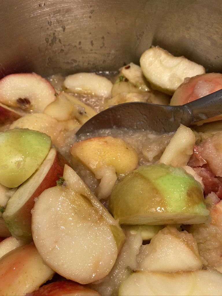 The ugly truth about applesauce – Bluebird Ridge Farm