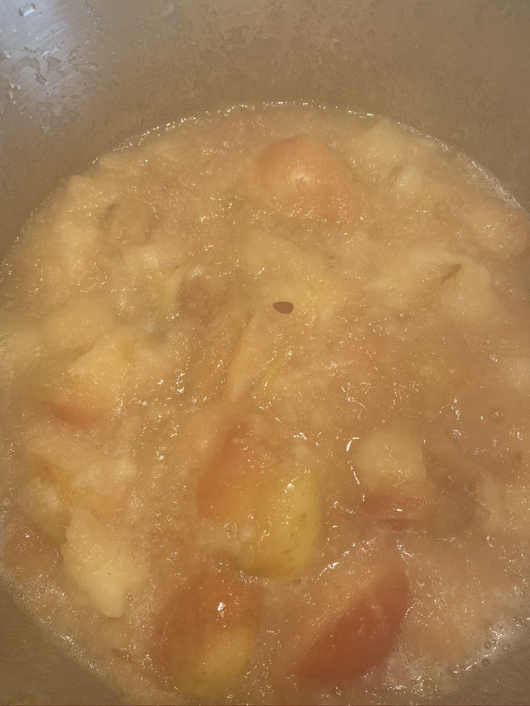 The ugly truth about applesauce – Bluebird Ridge Farm